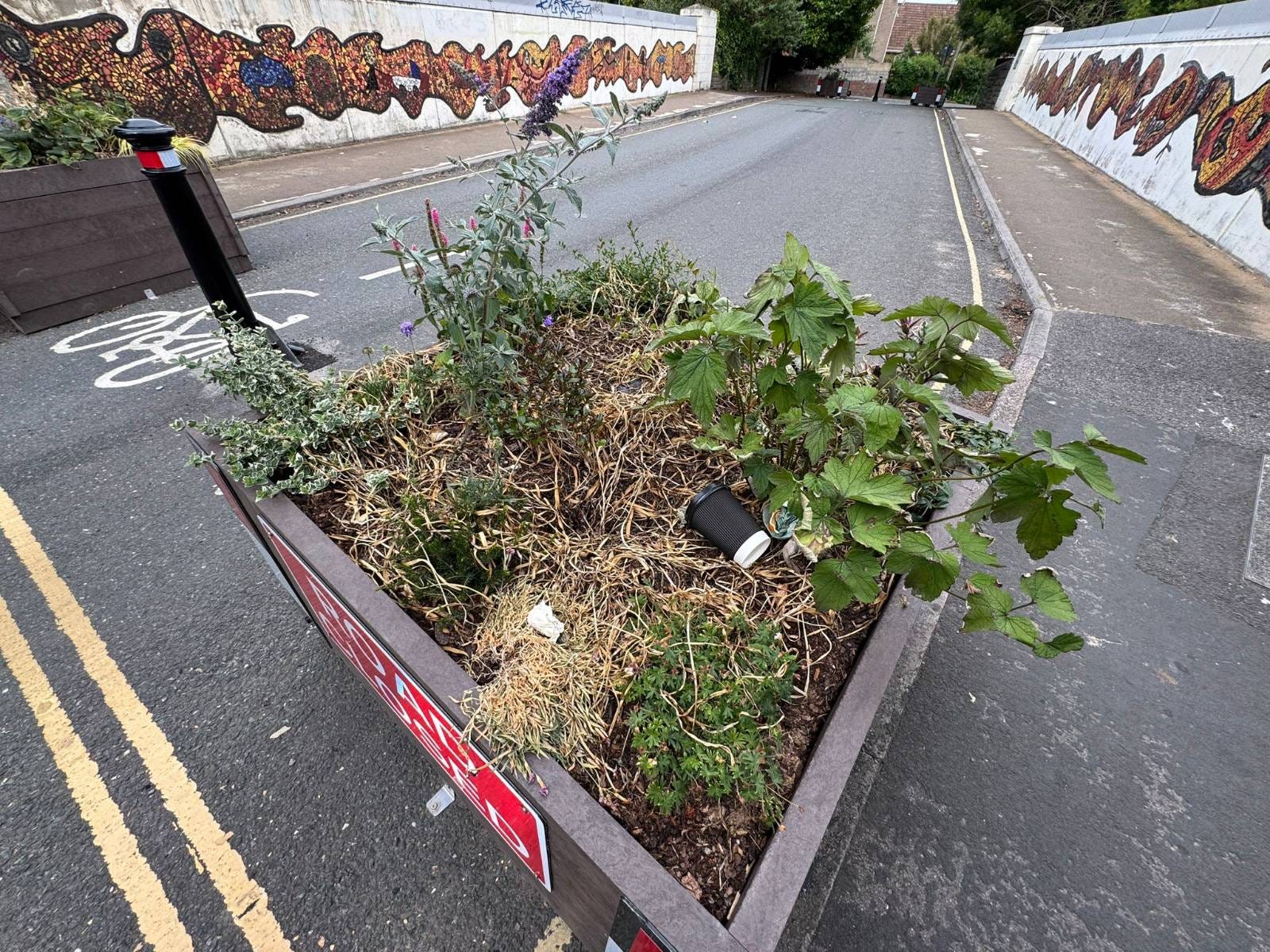 The Pointlessness of Planters - by Helen