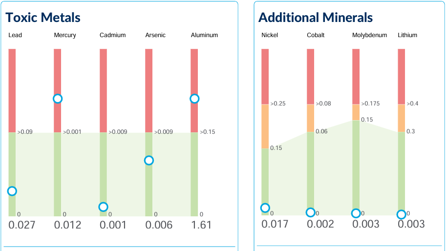 Comprehensive Hair Analysis Testing for Heavy Metals and Minerals