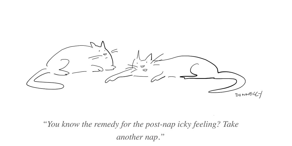 A Collection Of Cat Cartoons - by Liza Donnelly