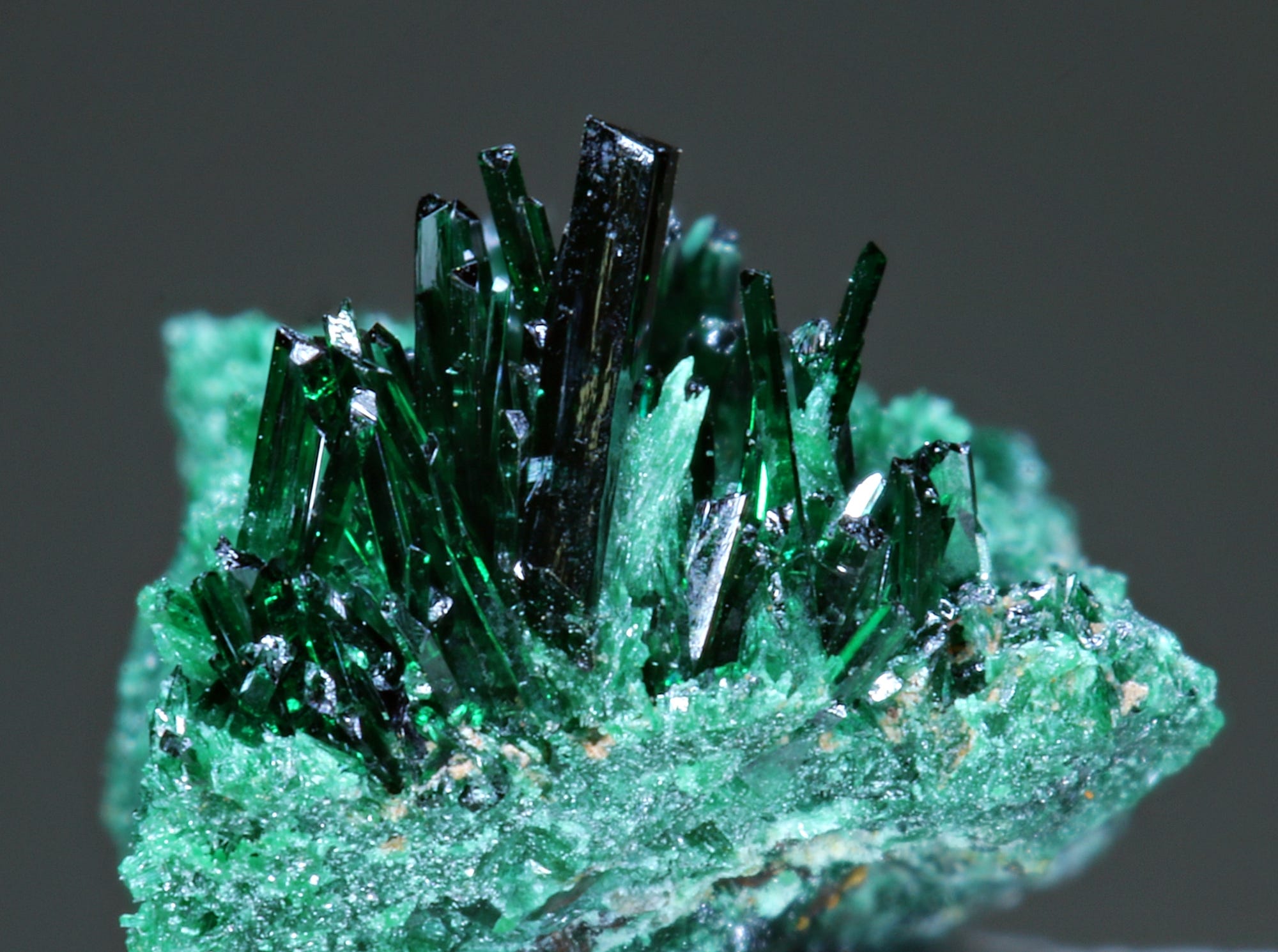 Atacamite, Mt Gunson, South Australia - by Steve Sorrell
