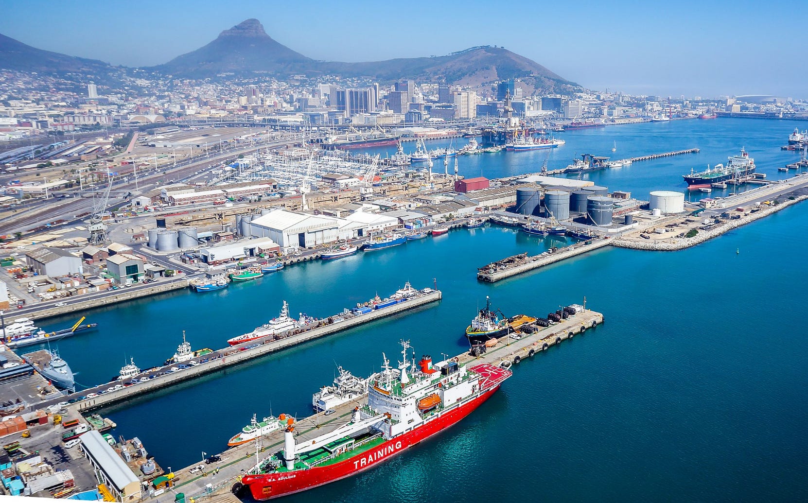 Bio-Leninism: Why American Politics Runs on Humiliation