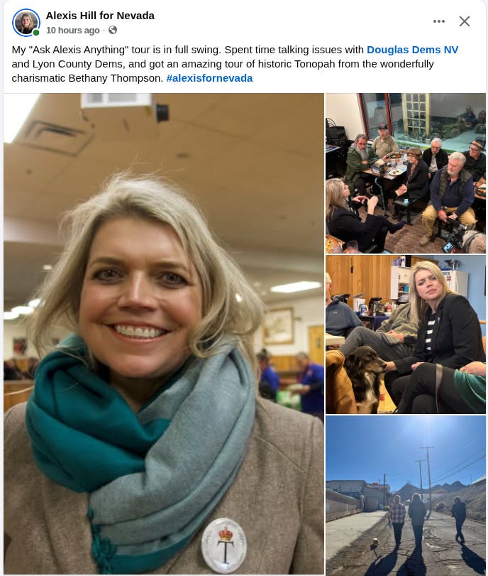 Alexis Hill: The Image, the Money, and the Consultant Behind the Campaign