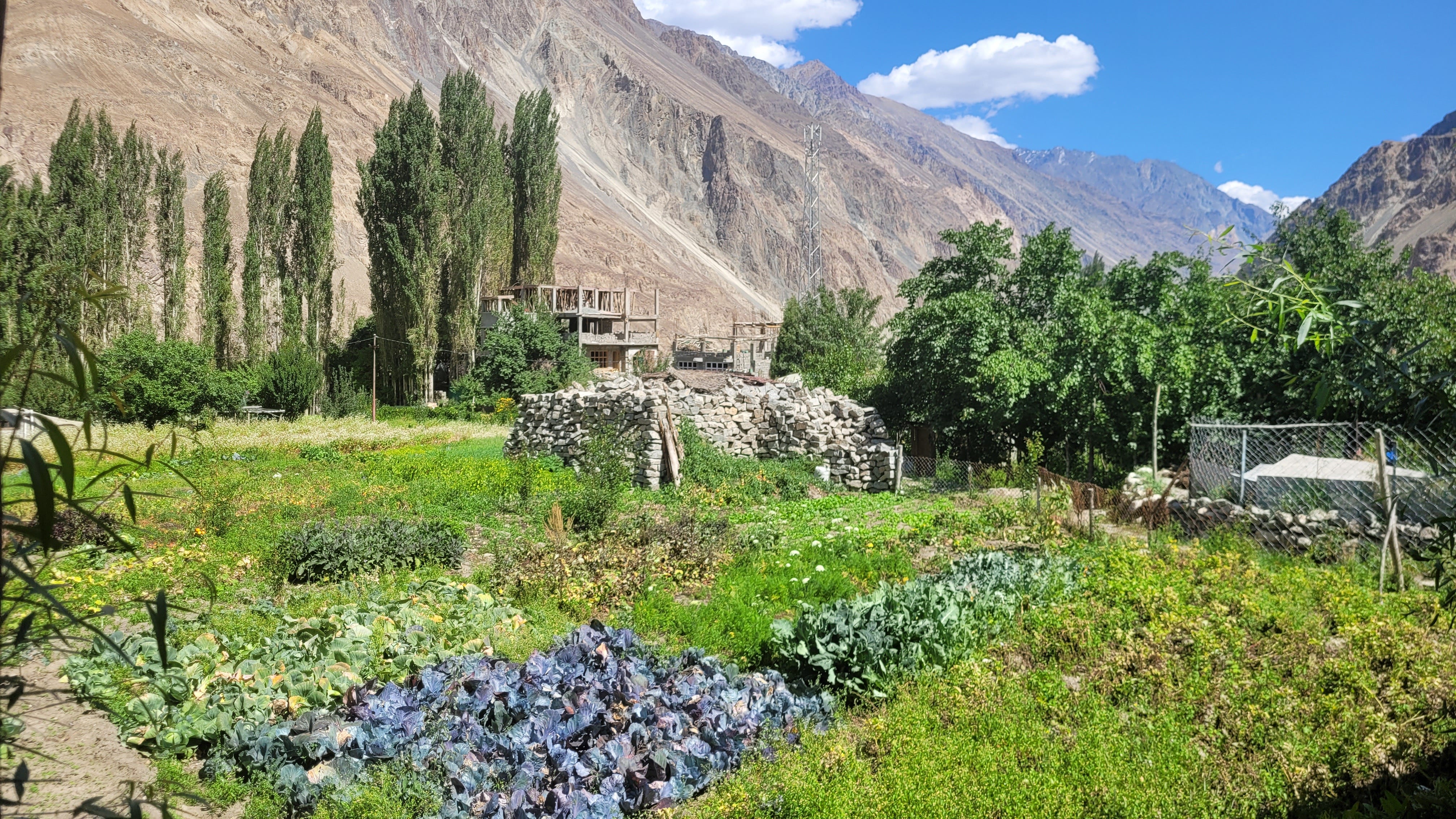 The village that humbled me - by Kanak - Remote & Rooted