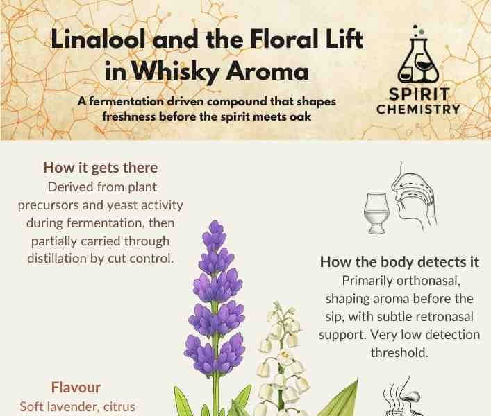 Linalool: Quiet Floral Lift from Fermentation