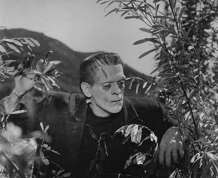 The Absent Creator: Victor Frankenstein and the Ethics of Paternal ...