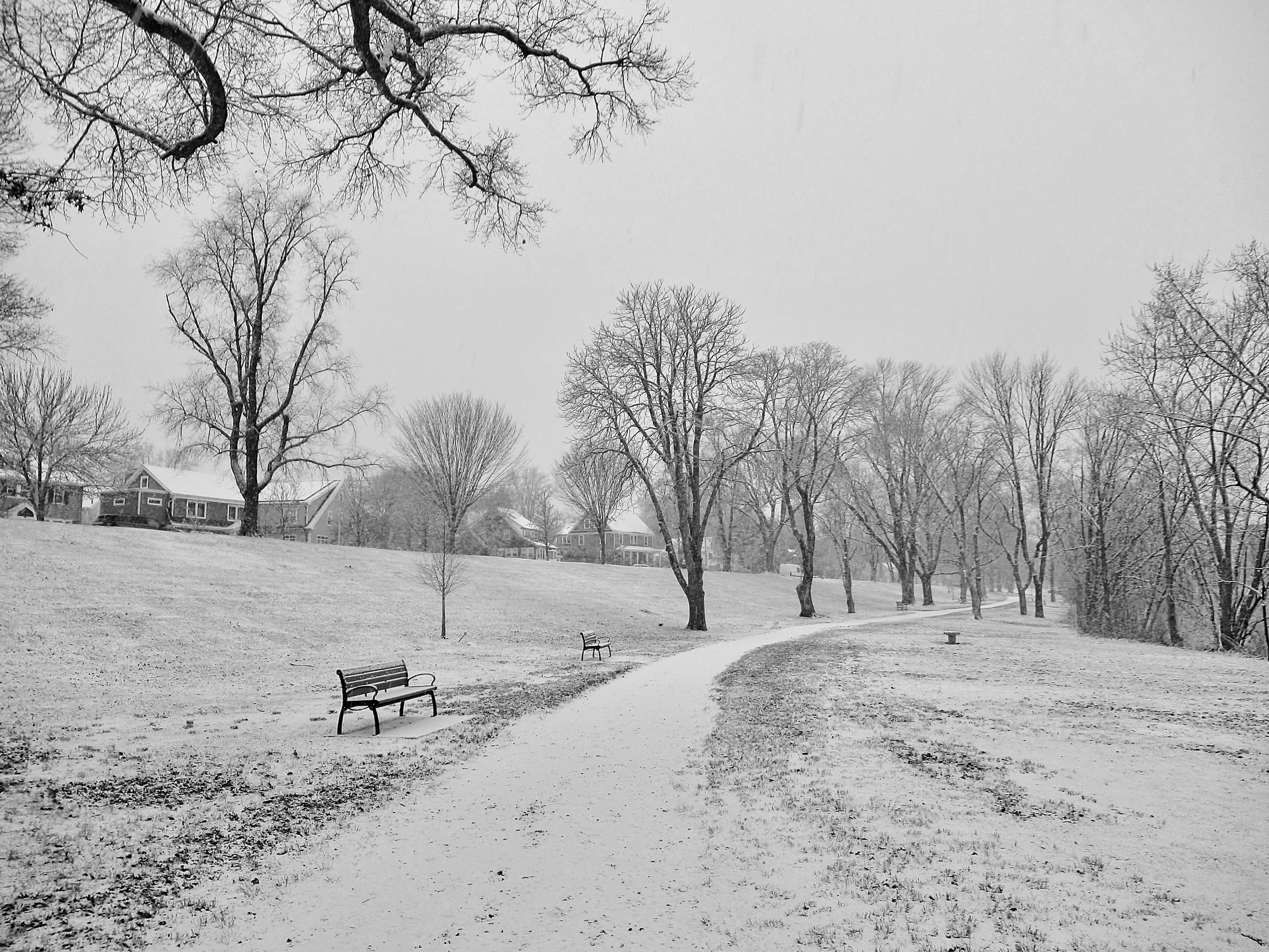 Walking in a winter wonderland! - by Jessica Rose