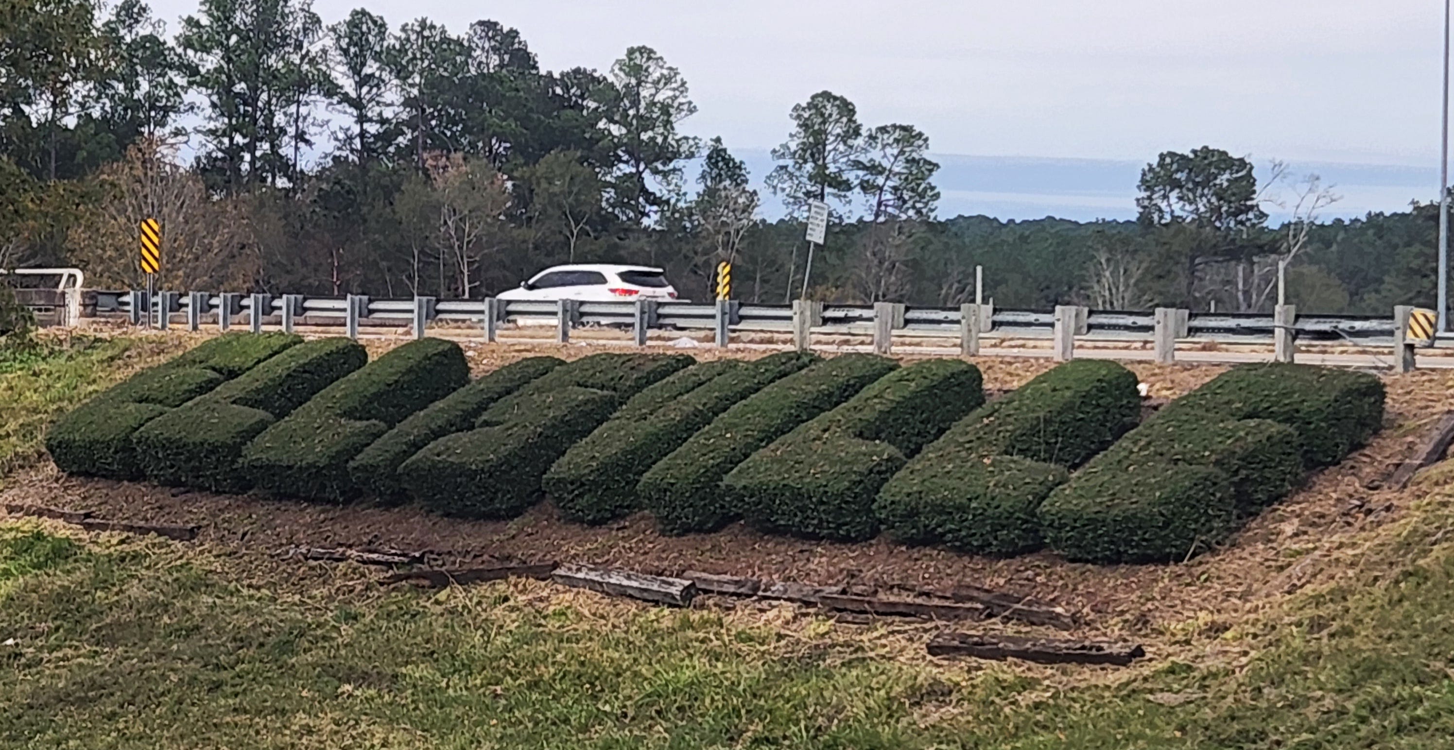 Ellisville gets in holiday spirit ahead of weekend parade, annual tree ...