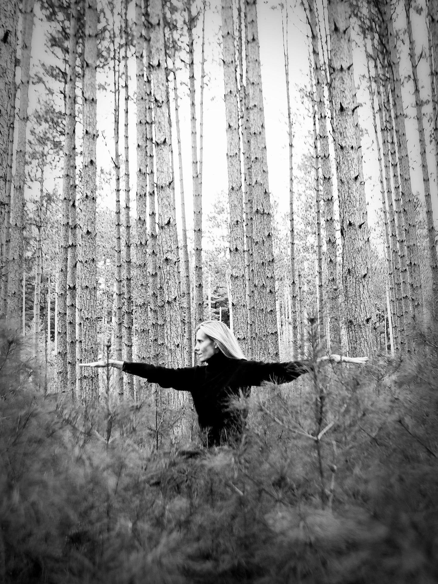 The Quiet Math of Personal Freedom - The Preferred Edit