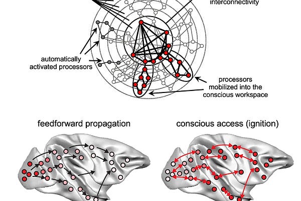 Complexity Thoughts | Manlio De Domenico, Ph.D. | Substack