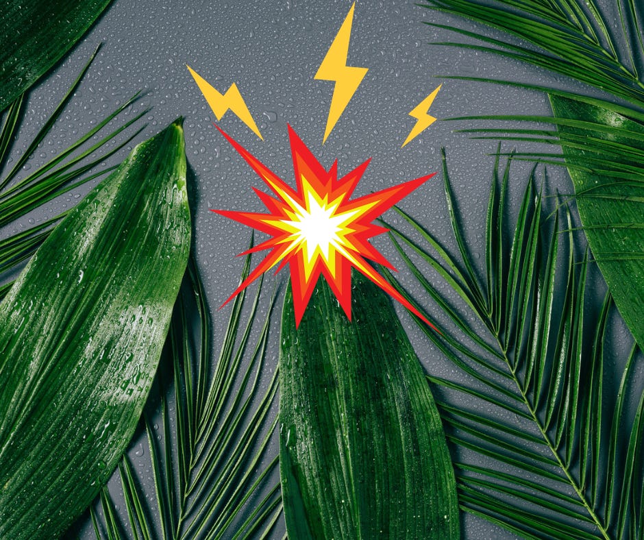 Busting the Plant Pain Myth - by Michael Corthell