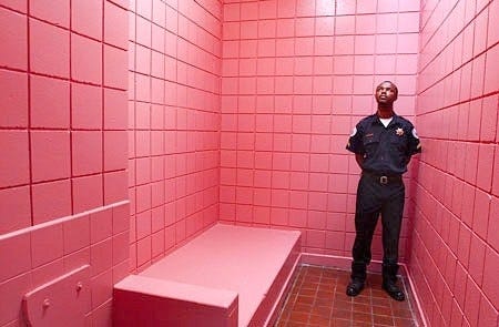 Baker-Miller Pink - Color Insider