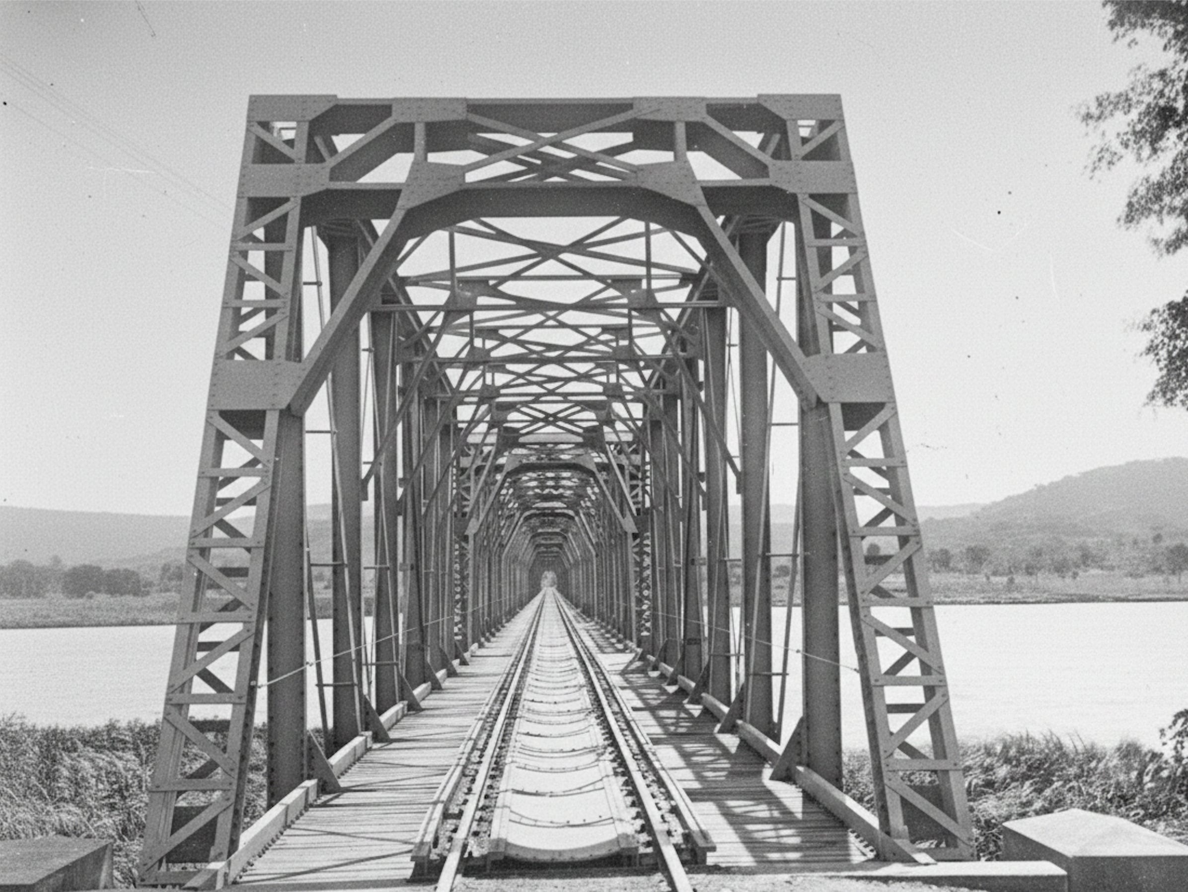 This Year's Oscar Nominees - Claremont Digital Plus