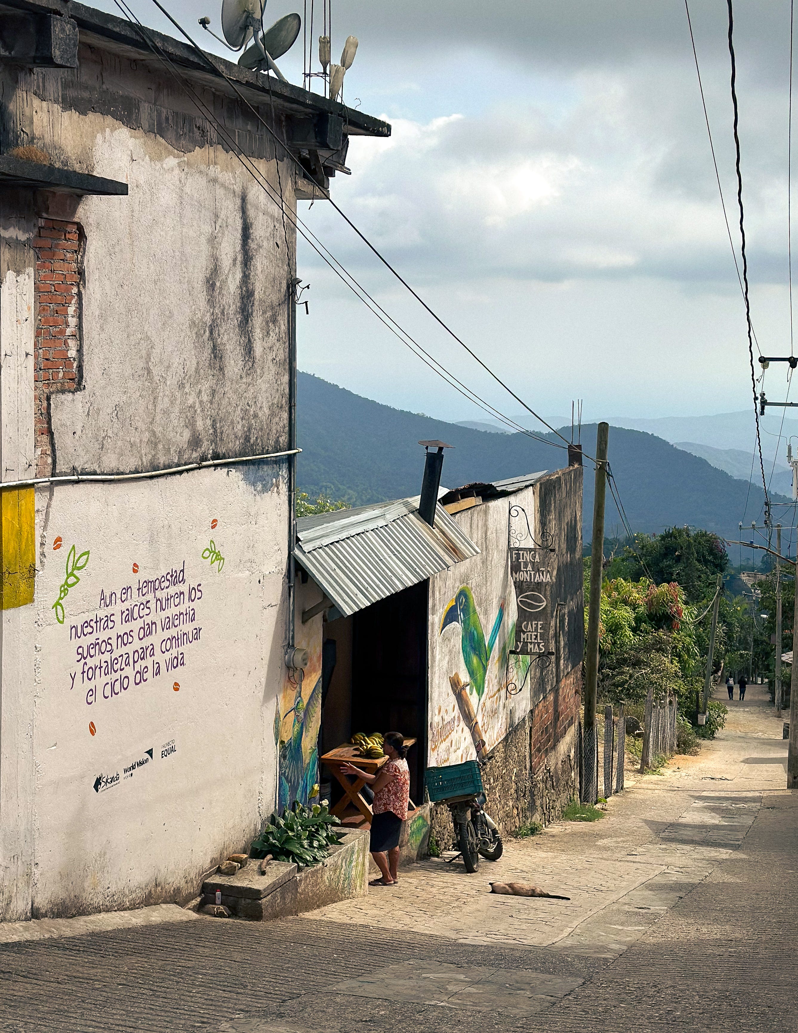 Exploring Pluma Hidalgo: A Hidden Gem in Oaxaca's Coffee Country
