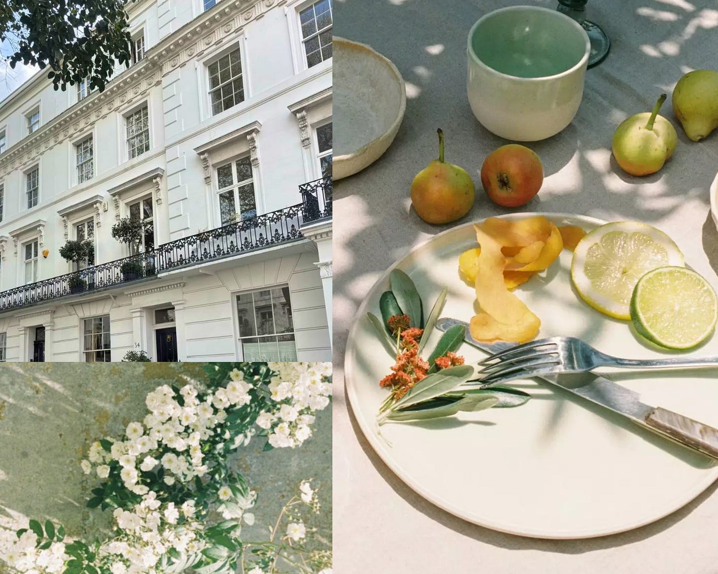 An Expert’s Guide To Chelsea Flower Show