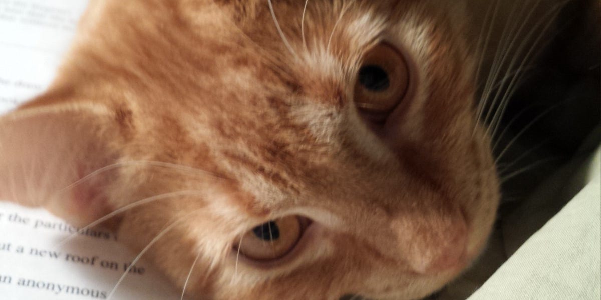 Saying Goodbye - by Stephanie Cain