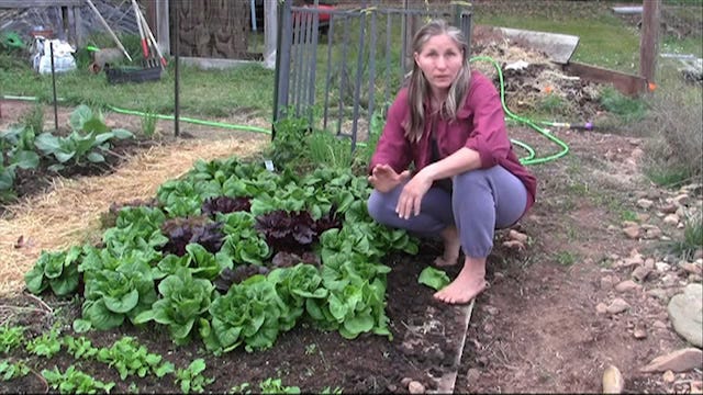The Secret to a Green Thumb