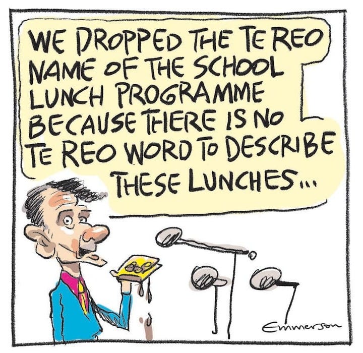 Representation and Te Reo. - by Nick Rockel - Nick's Kōrero