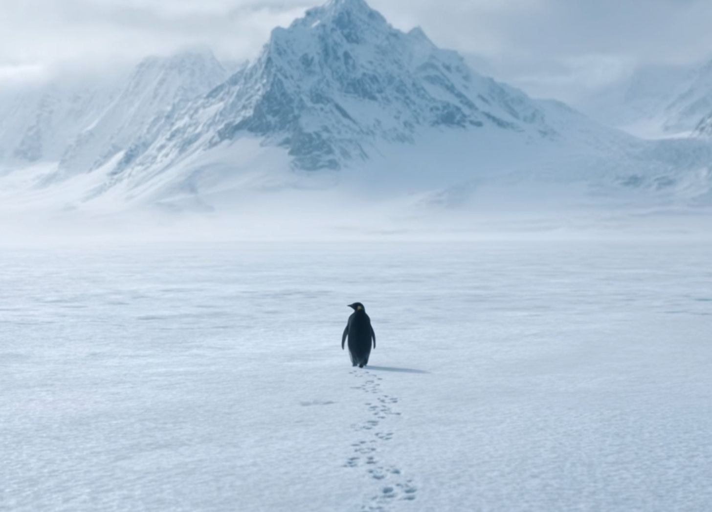 The Nihilist Penguin - by David Webb - All About Psychology