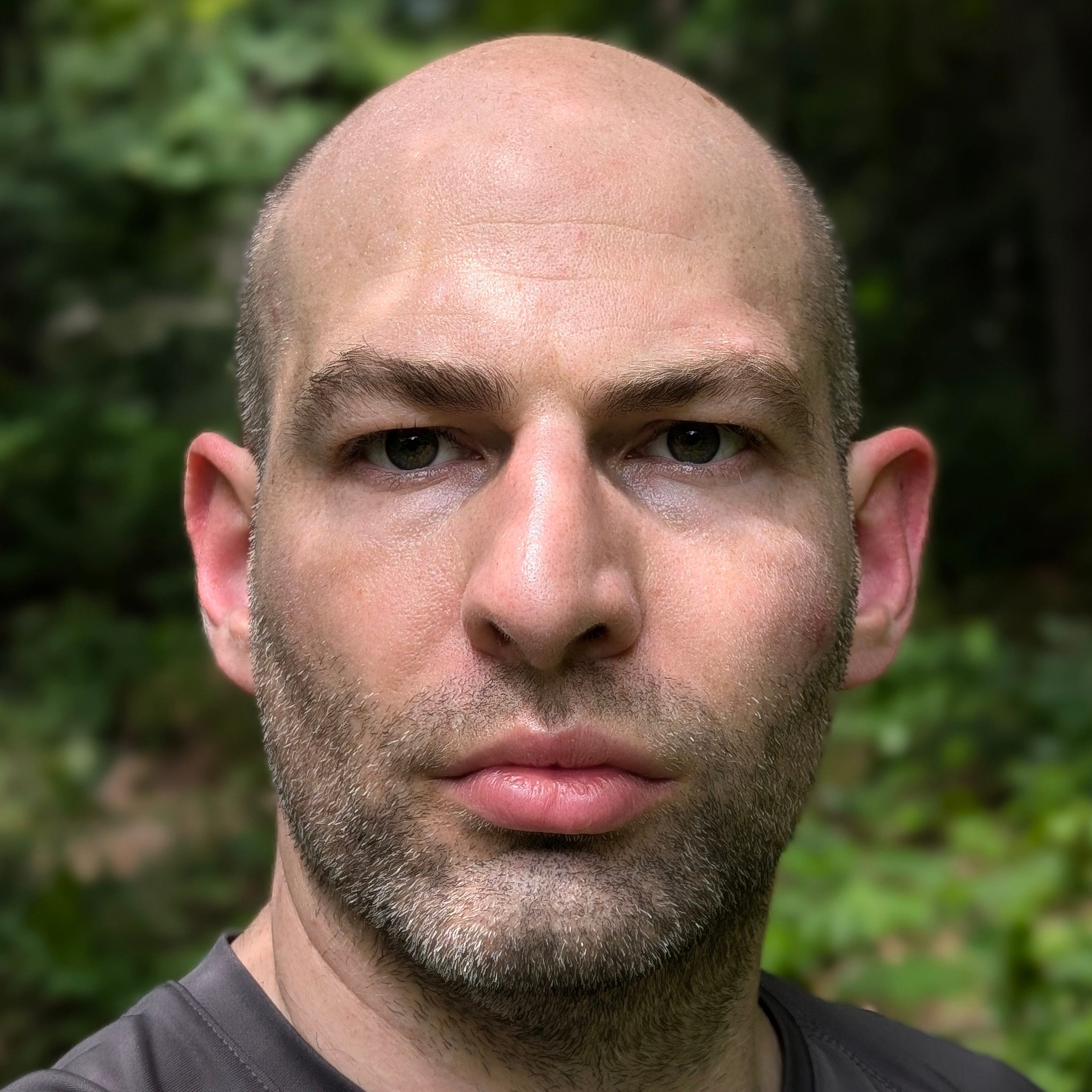 David Shapiro | Substack