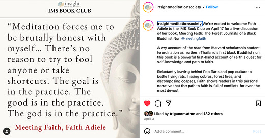 Keeping up with Faith | Faith Adiele | Substack