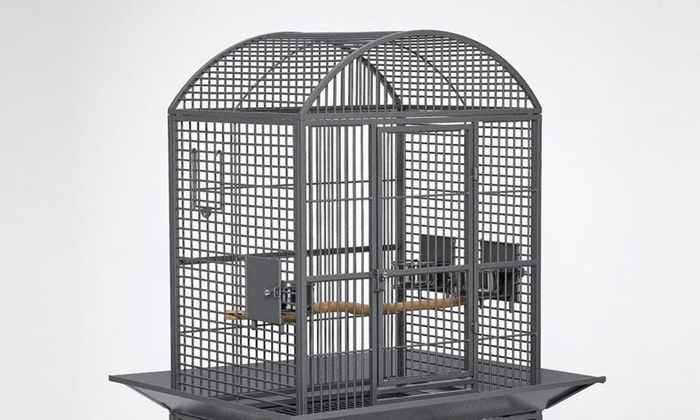 Bird cage brands - by Chris Hynes - cricket