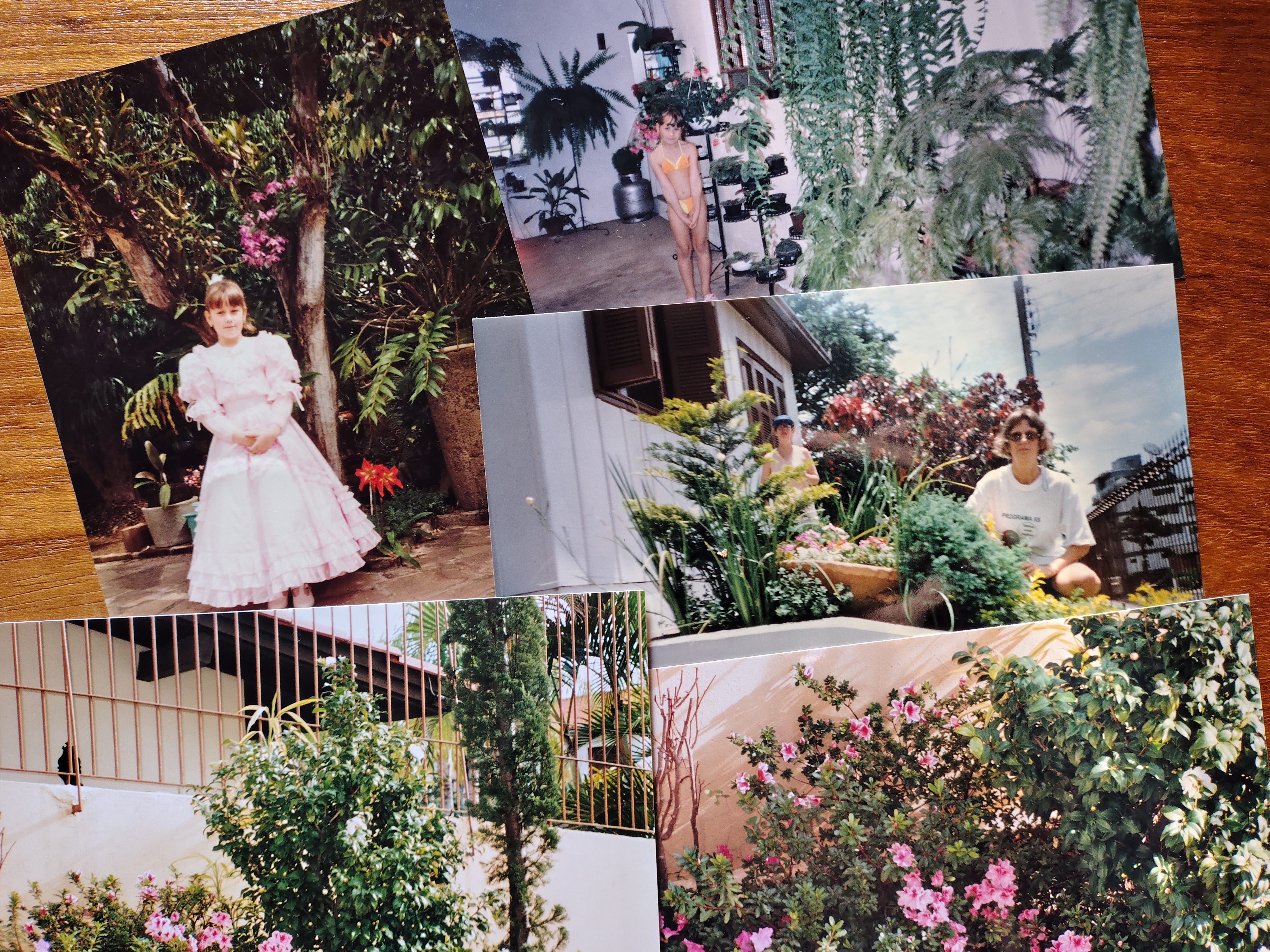 Verde hereditário - by Camila von Holdefer