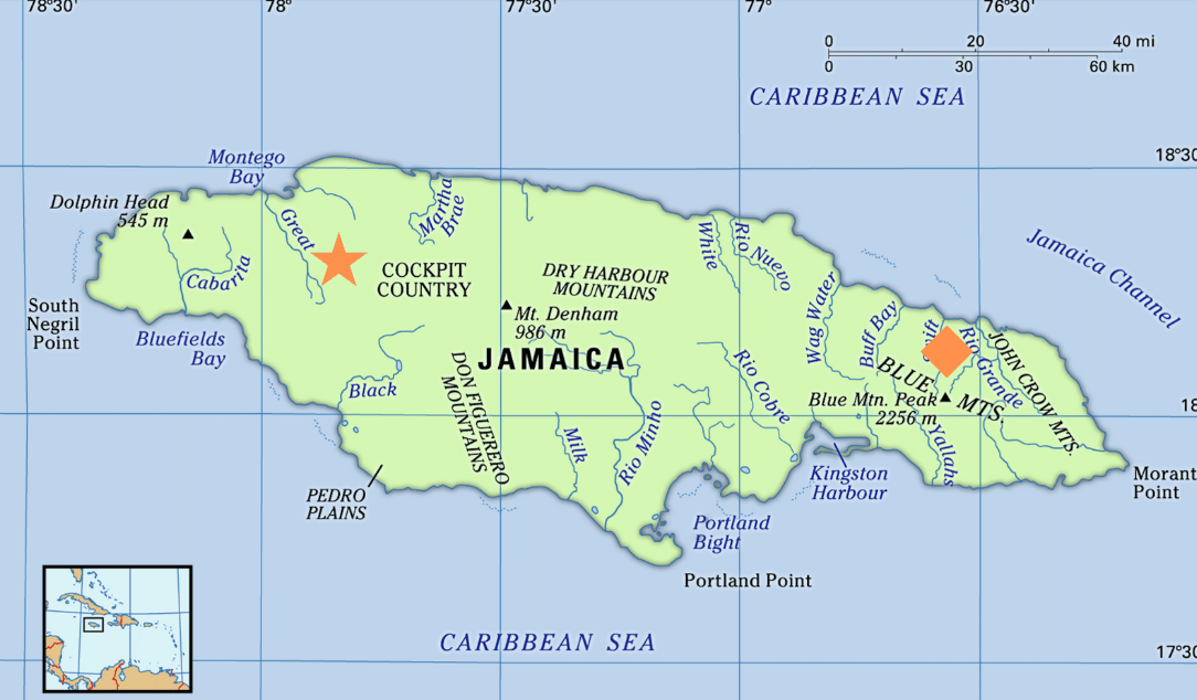 Lesson 59: The Maroons - by Round About History