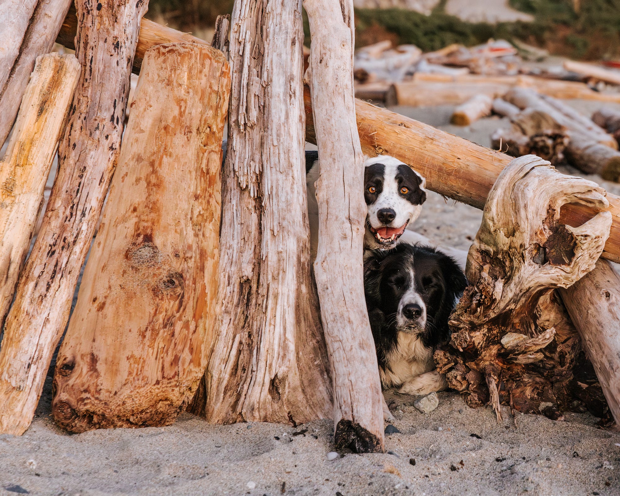 The Sunshine Coast: My Definitive Guide - by Andrew Knapp