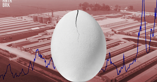 Hunterbrook Media | Substack