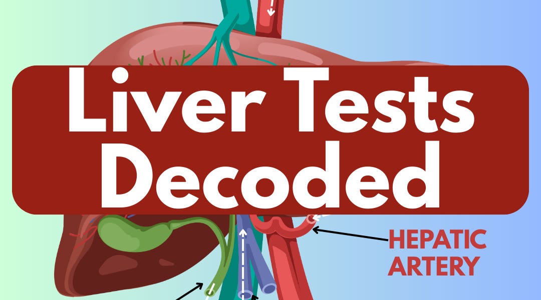 The Liver Function Test Decoder Ring: What Your Blood Really Tells Us