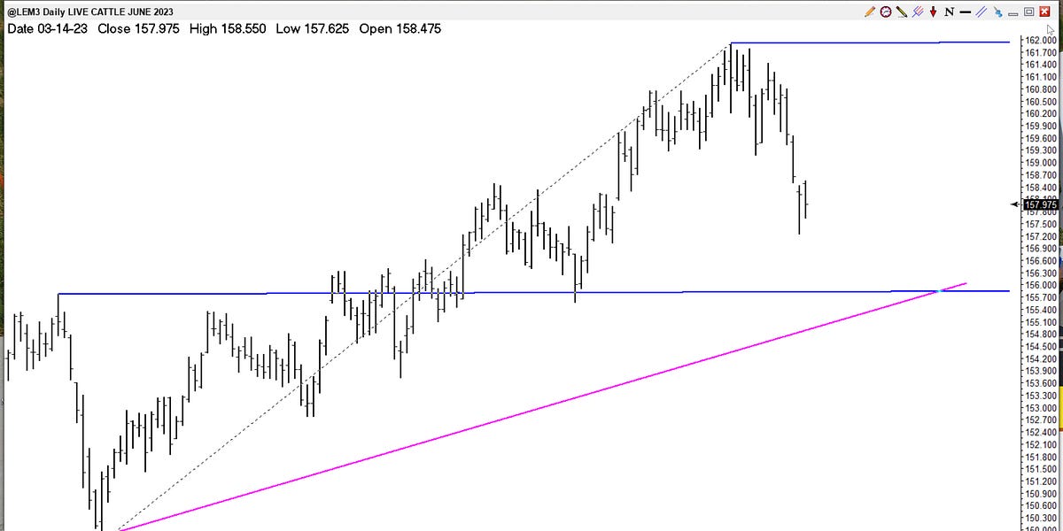 June live cattle market - by Keaton Heller