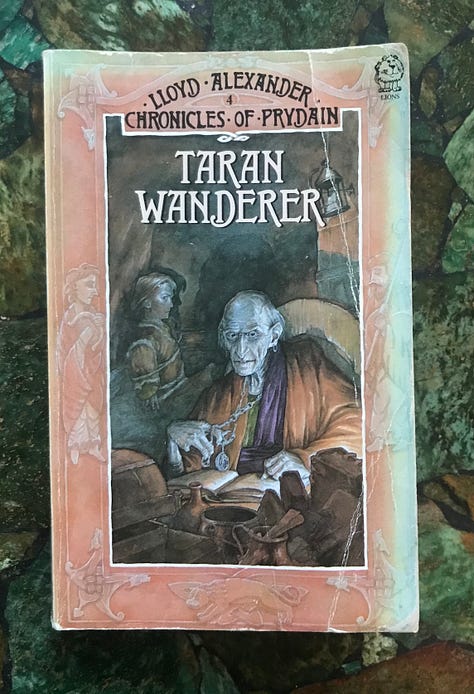 taran wanderer