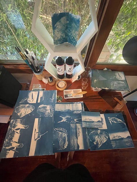 Where light meets chemistry – The Cyanotype process