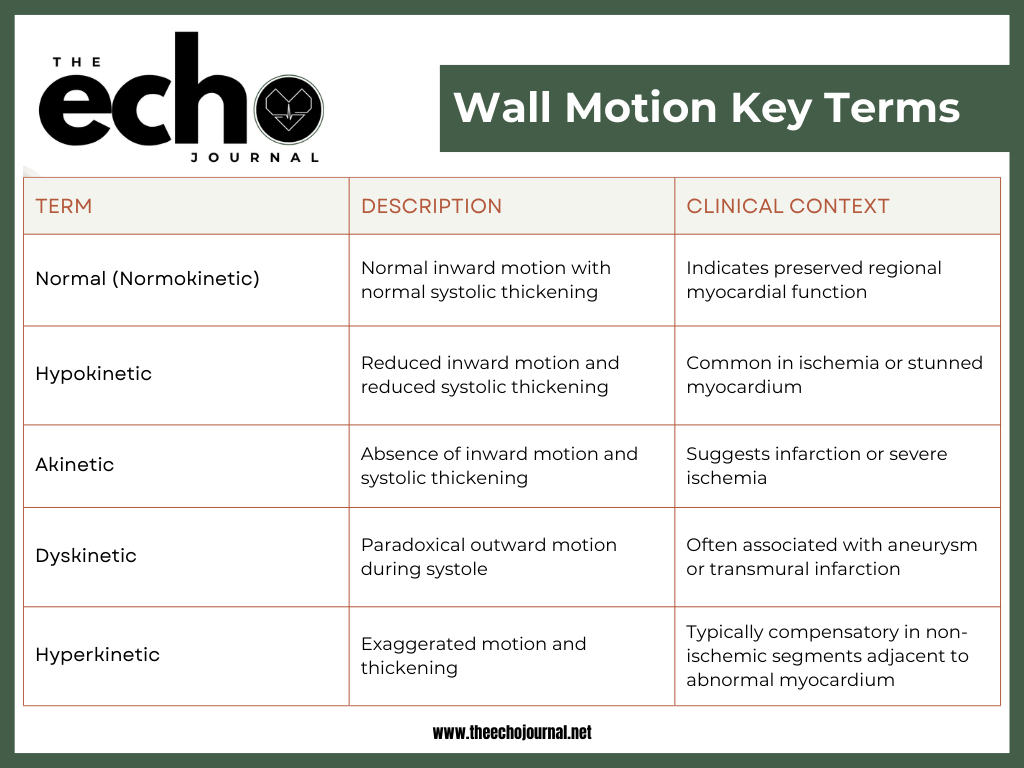 Wall Motion Isn’t Guesswork - by Alex C. - The Echo Journal