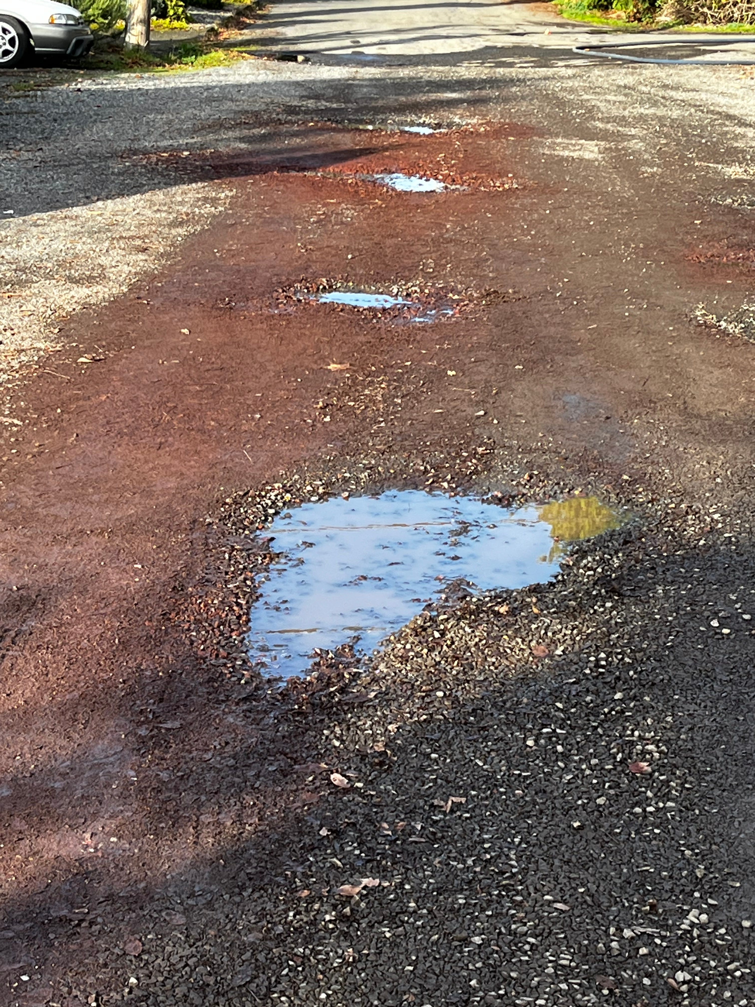 Pirate Media™ and Potholes in Oregon - Oregon Eagle
