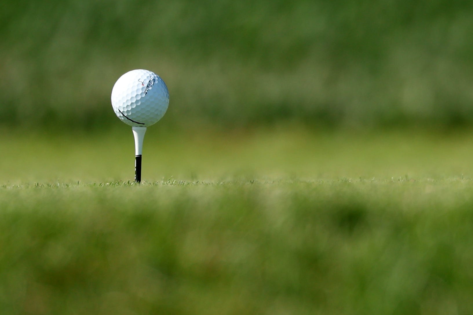 Q&A: How Data Golf Became the Go-To Site for Modern Golf Analytics