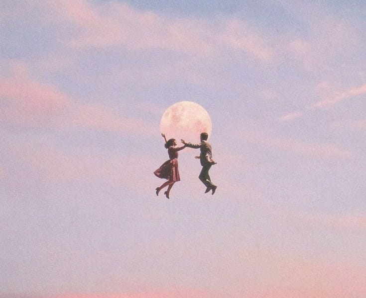 too much, not enough - by Beth Cormack - Field Notes