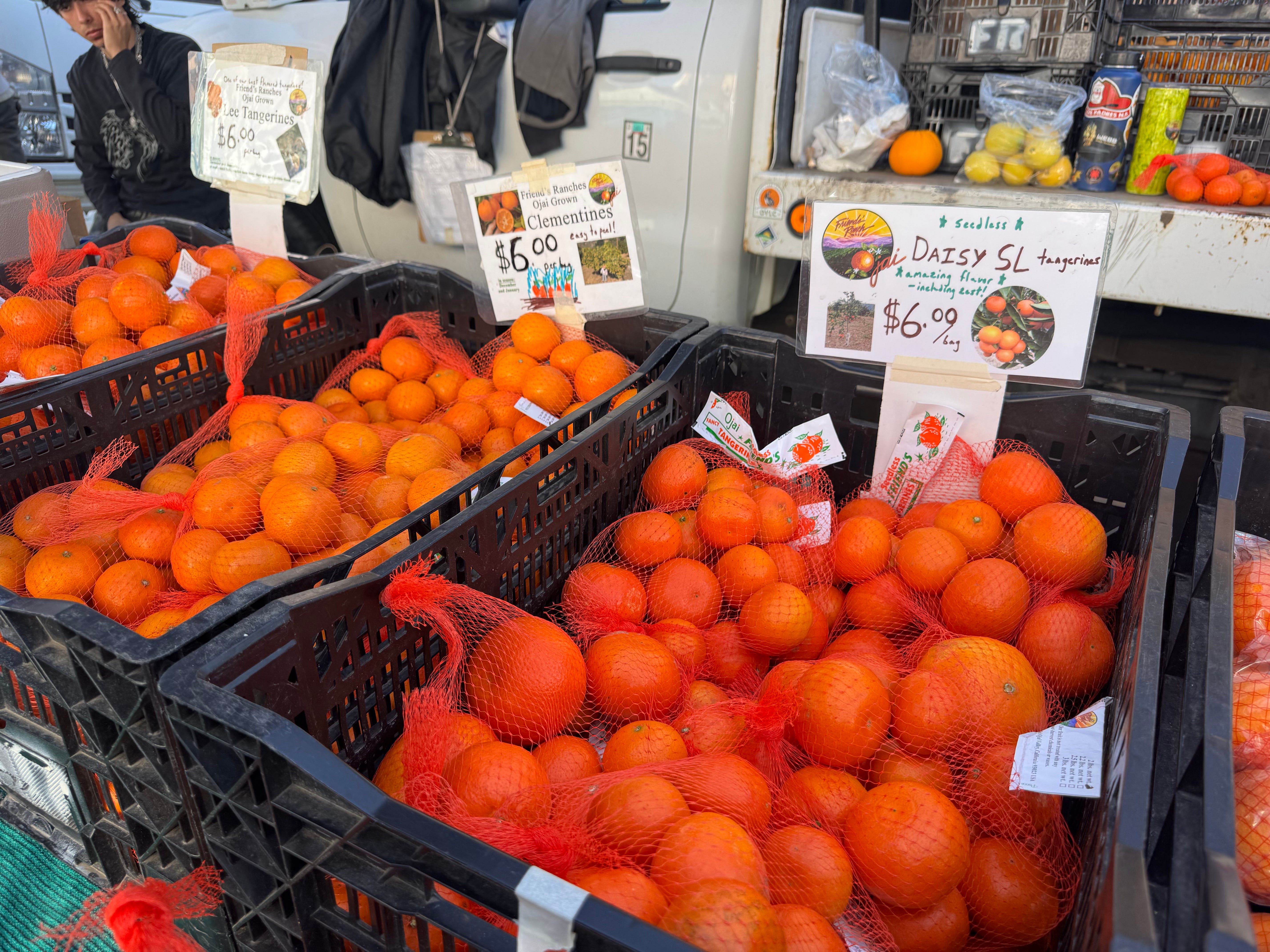 A Mandarin for All Microseasons - by Gillian Ferguson
