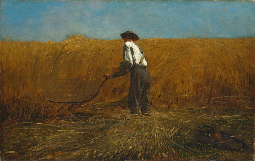 Educating From the Farmer's Point of View - by Trae Bailey