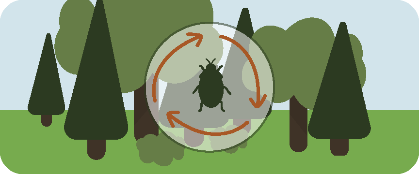 How Does Climate Change Affect Animals? A Complete Guide