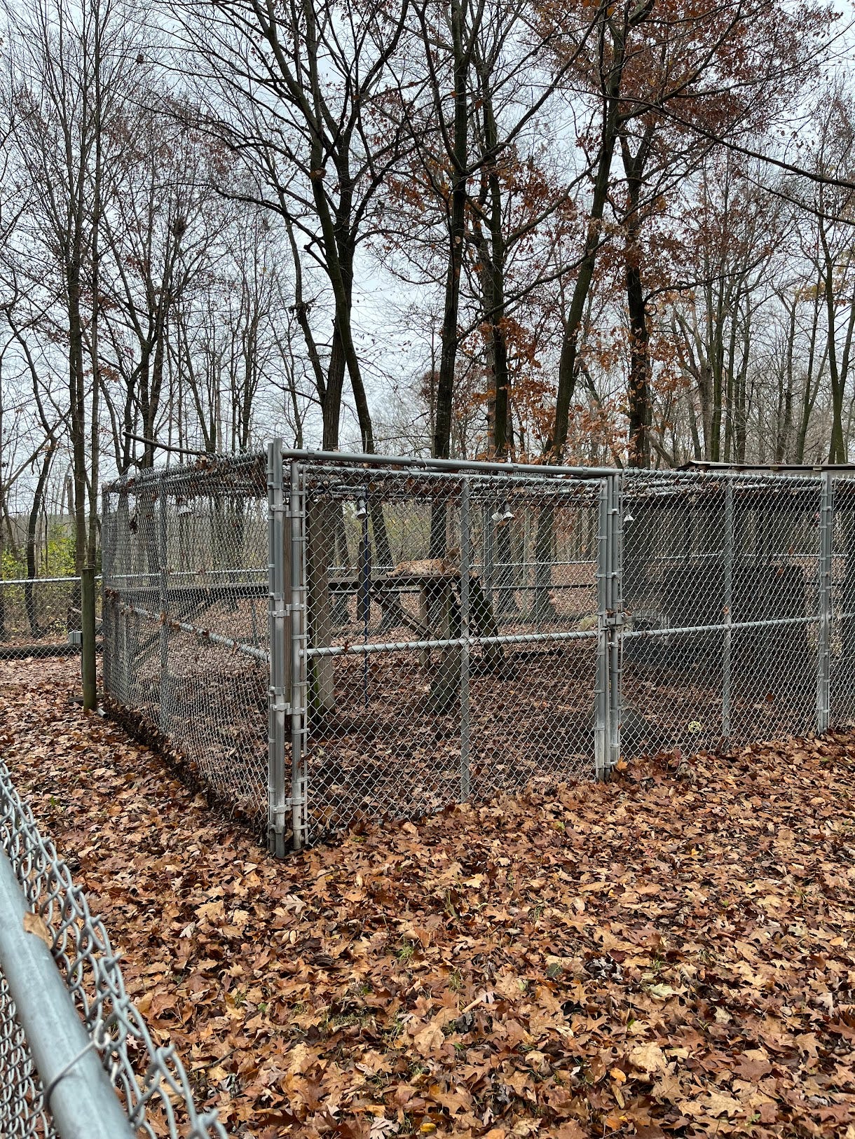 Wisconsin's most famous roadside zoo is a sad place