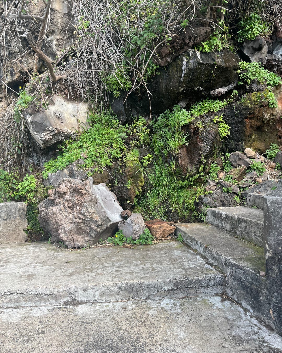 Learning how to trust your gut again - The Midlife Nomad