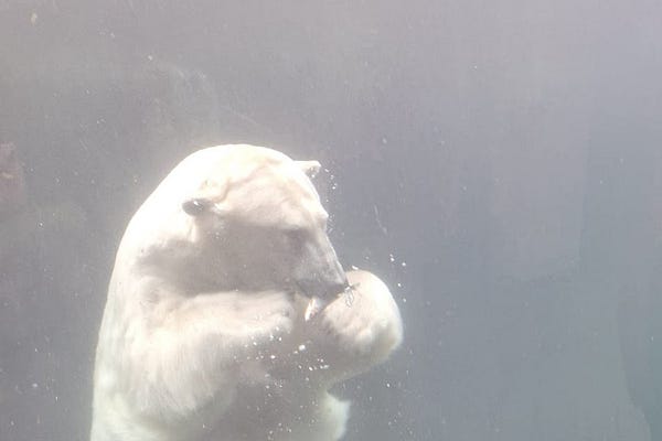 Escaping Flatland | Henrik Karlsson | Substack