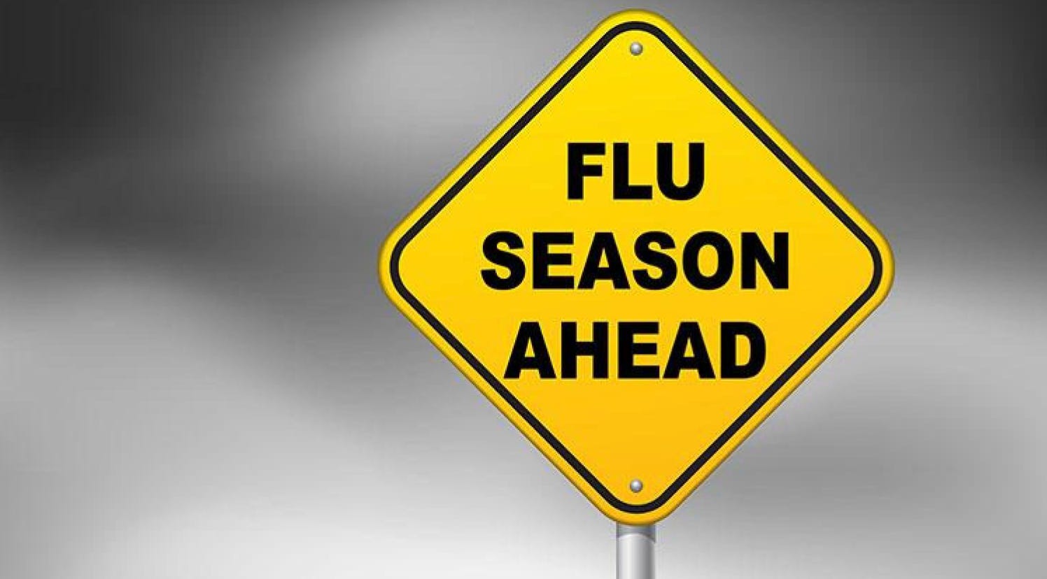 What If Flu Season Is the Body’s Emergency Reset?