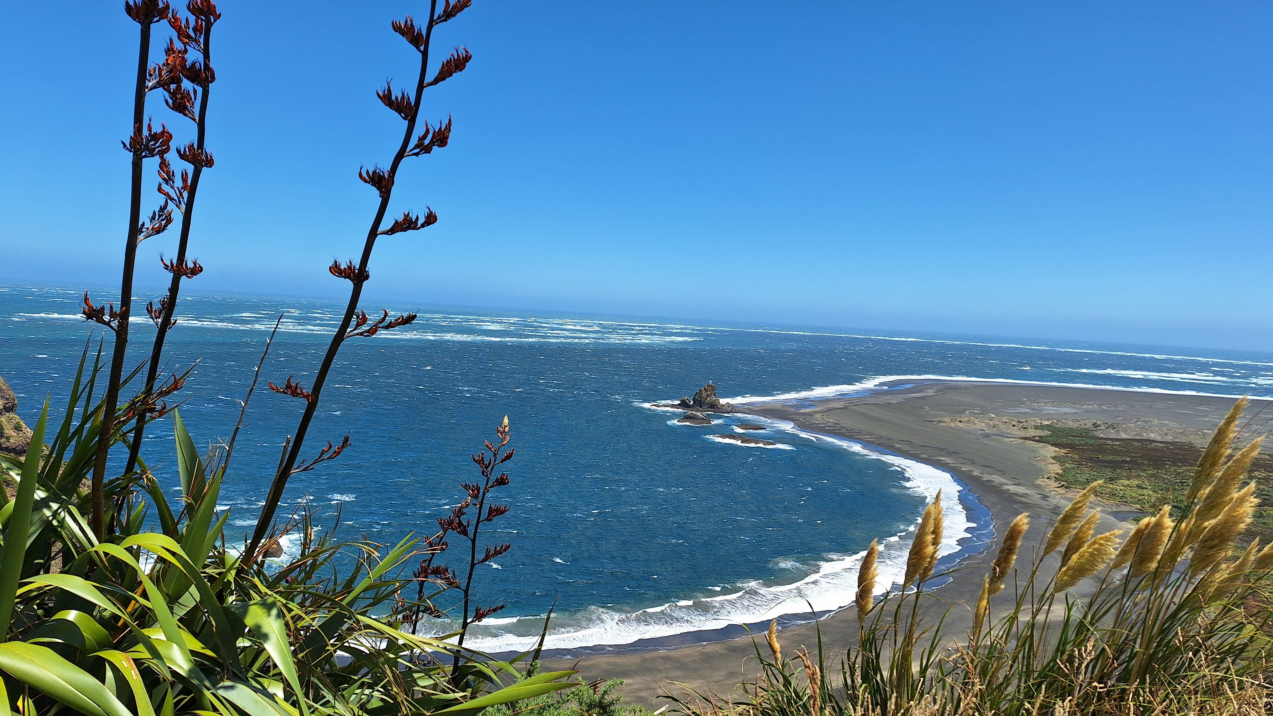 Dr Vicki Connop (@drvickiconnop): "If you look at the city of Auckland ...