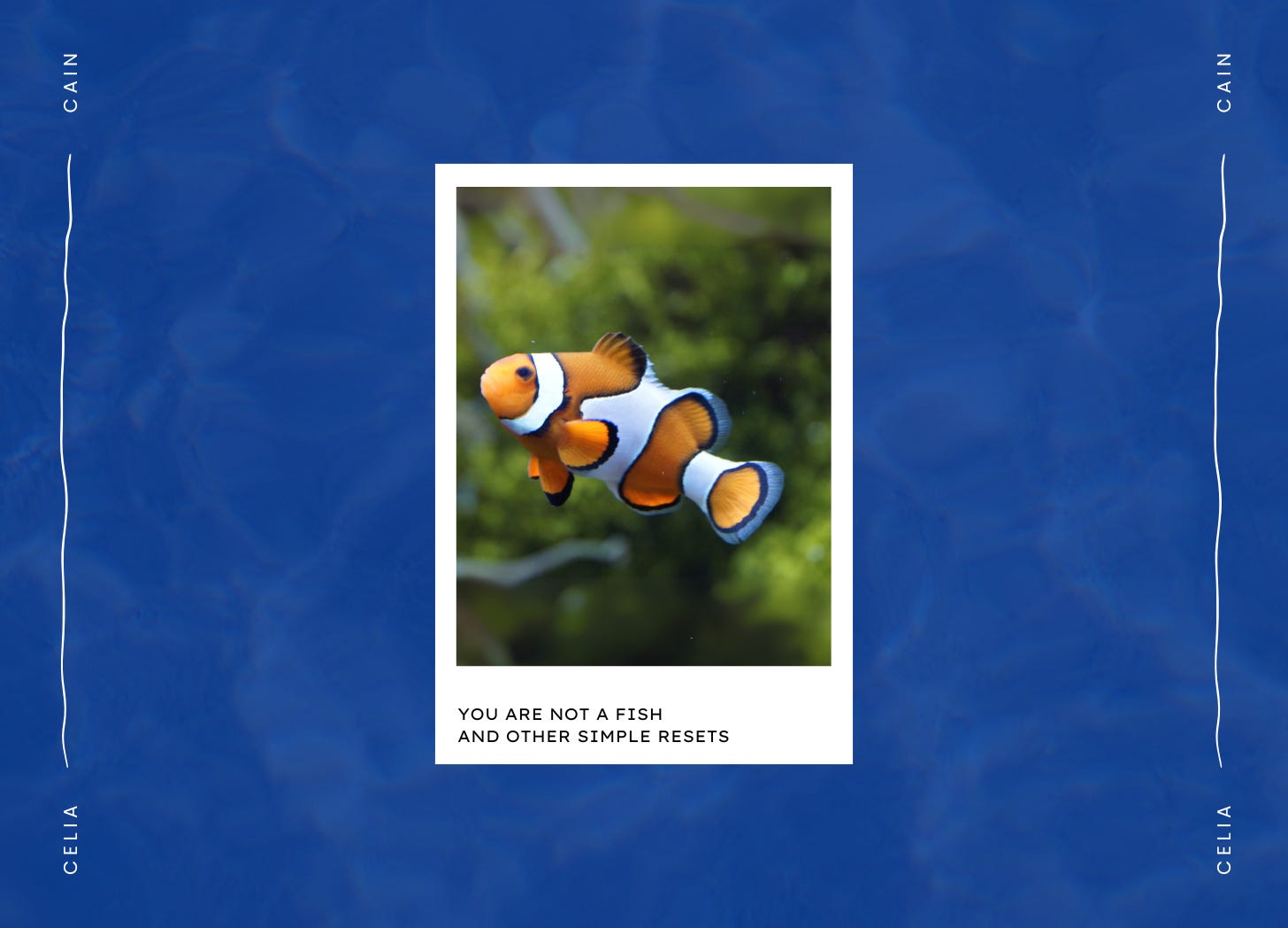 Mini Mindset Tip: I Am Not a Fish - by Celia Cain, PhD