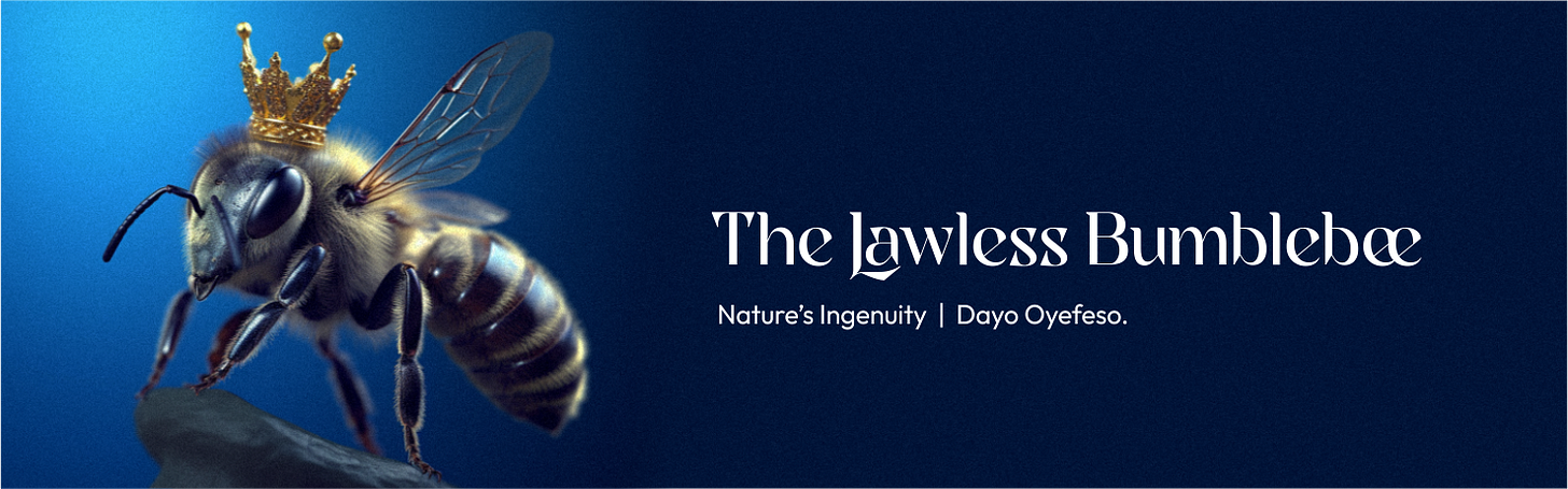 bumblebee flying science