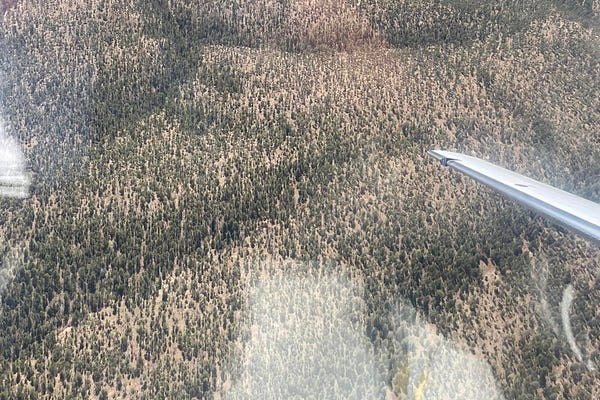 Cloudcroft Reader | Chris Hearne | Substack