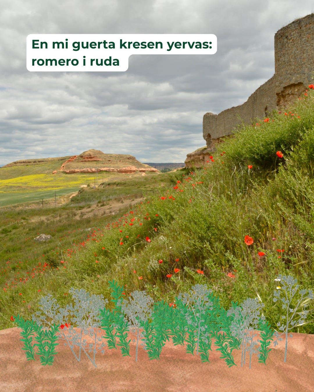 En Mi Guerta: In My Garden - Naomi Spector