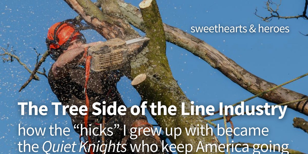 The Tree Side of the Line Industry: How the “Hicks” I Grew Up With ...